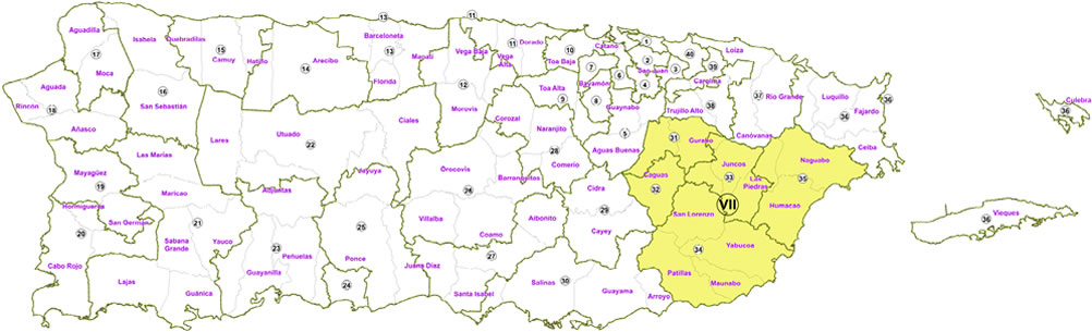 CEE - Redistribución Electoral 2022